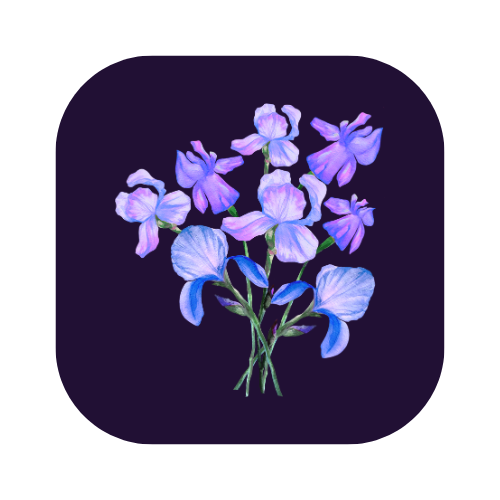 Cosmic Iris - Visual Studio Marketplace